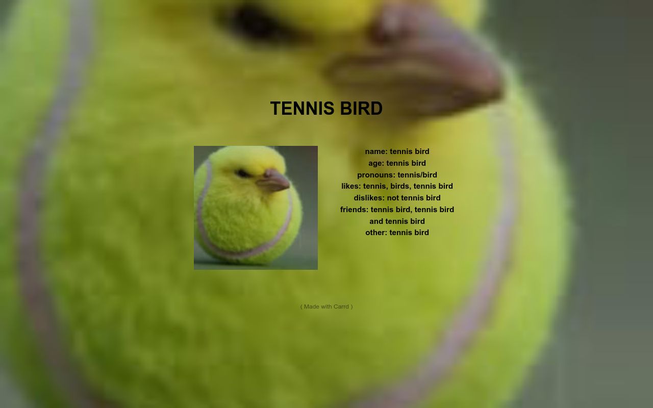 tennis bird